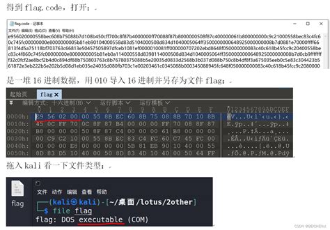 攻防世界 Misc 攻防世界miao Csdn博客