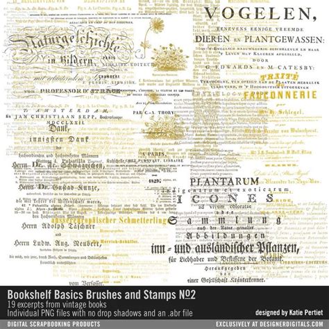 Bookshelf Basics Brushes And Stamps No 02 Stamp Digital Digital