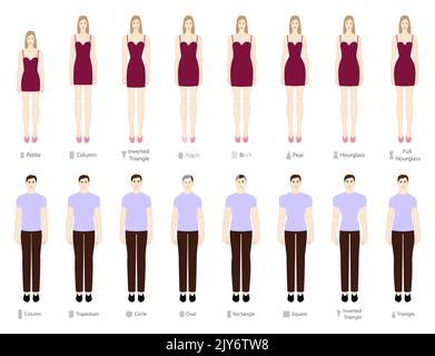 Set Of Women And Men Body Shapes Types Apple Pear Inverted Triangle Rectangle Column