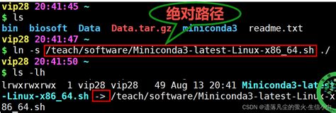 Linux基础上 服务器连接、文件及文件夹基本命令linux 链接文件夹 Csdn博客 Linux基础上 服务器连接、文件及文件夹基本命令linux 链接文件夹 Csdn博客