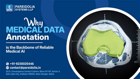 Pareidolia Blog Archive Why Medical Data Annotation Is Crucial For Reliable Medical Ai