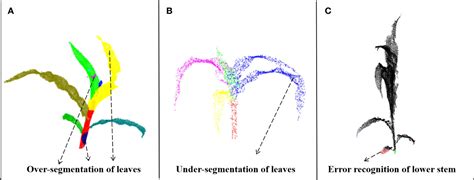 Frontiers Dfsp A Fast And Automatic Distance Field Based Stem Leaf Segmentation Pipeline For