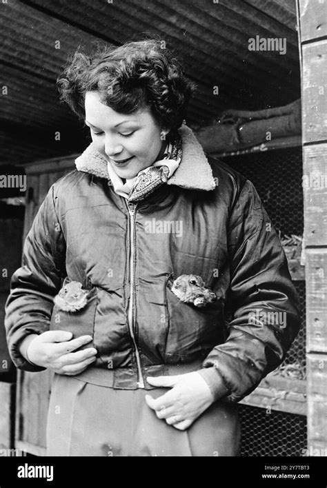 Easter Bunnies For Jean Kent 7 April 1950 Easter Goes With A Zip For Film Actress Jean Kent Who