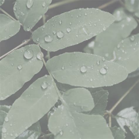 Buddycompassの会社情報 Wantedly