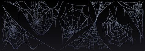 Spider Web Halloween Set Cobweb Spooky Insect Net 16263013 Vector Art