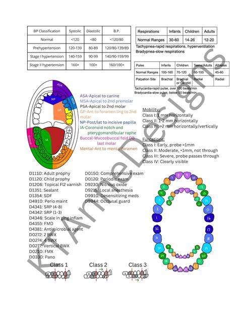 Dental Hygiene Clinical Cheat Sheet Digital Download Primary And