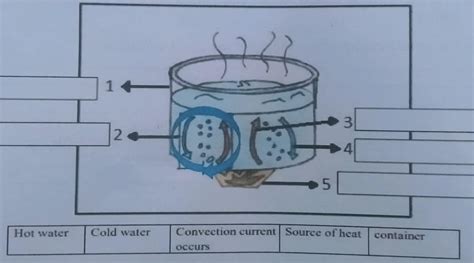 Convection Currents In Water