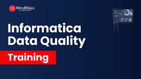 Informatica Data Quality Training Informatica Idq Certification