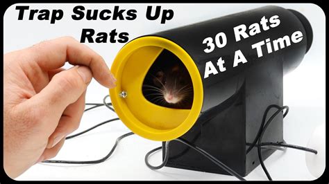 Huge Rats Sucked Up With New Rat Vac Trap 30 Rats At A Time Amazing