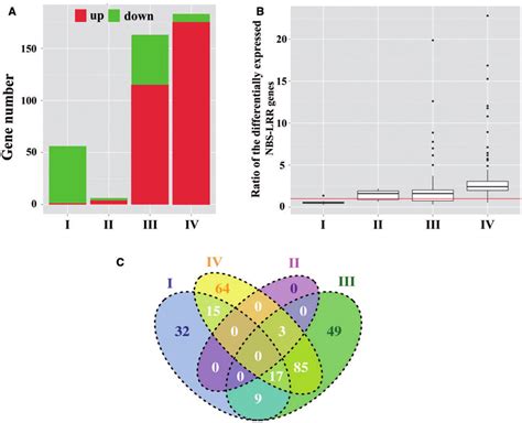Nucleotide Binding Site Leucine Rich Repeat Nbs Lrr Expression Download Scientific Diagram