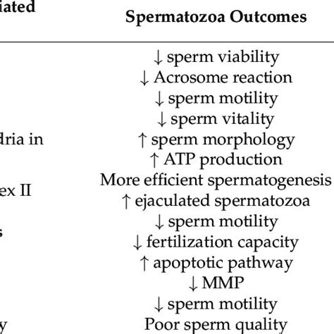Schematic Summary Of The Complex Relationship Between Mitochondrial