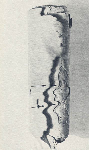 How To Connect Dead Sea Scroll Fragments The Bas Library