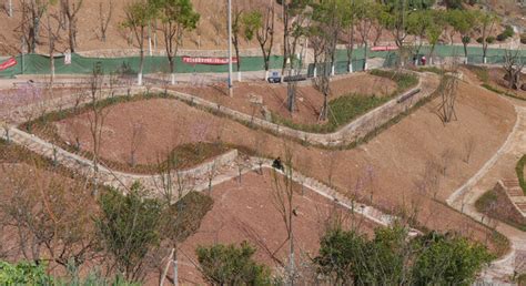 城区社会闲置地块花卉种植农林渔牧摄影素材汇图网
