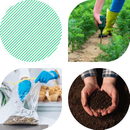 Soil Testing Service In Melbourne Victoria Plant Needs