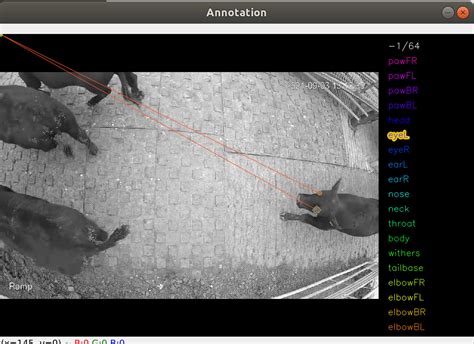 initial unmovable keypoint on top left · issue 85 · jgraving
