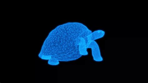 4k Tortoise Technology Video Tortoise Technology Video Tortoise 360