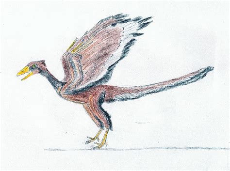 Archaeopteryx Fossil Sketch