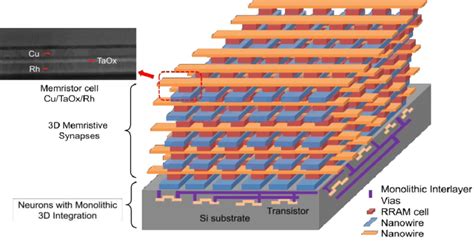 Monolithic 3d Neuromorphic Architecture Constituted With Memristive Download Scientific Diagram