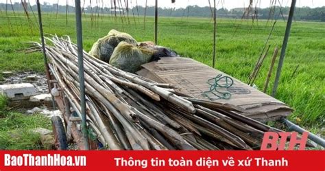 Tiếp Tục Ngăn Chặn Tình Trạng Săn Bắt Chim Hoang Dã
