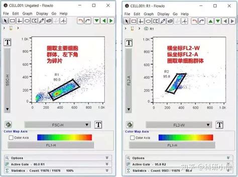 【罗工流式秘籍39】上机时如何去除粘连体 哔哩哔哩