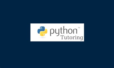 Teach You Programming With Python By Slumbertsar Fiverr