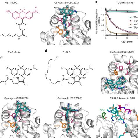 Multicolor And Nir Imaging With Traq G A Schematic Representation Of Download Scientific