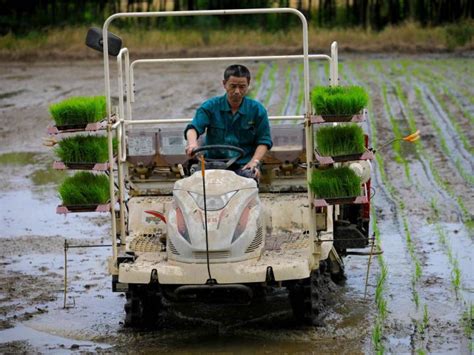 浙江官方认定！海盐首位 土专家”出炉