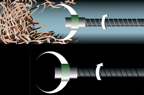 Tree Roots In Sewer A1 Sewer Drain Cleaning Service