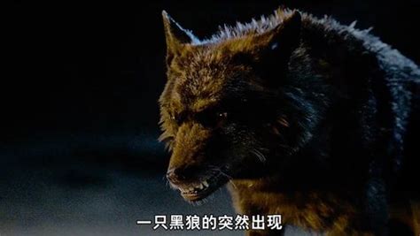 两万年前第一只野生二哈是如何被驯化成狗子的 高清1080P在线观看平台 腾讯视频