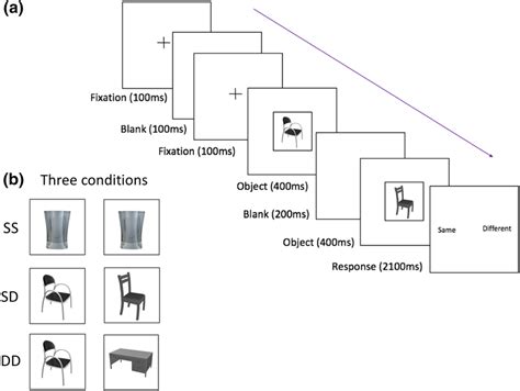 A Schematic Diagram Of The Object Discrimination Task [color Figure Can Download Scientific