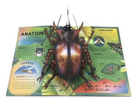 The Incredible Pop Up Bug Ben Hoare