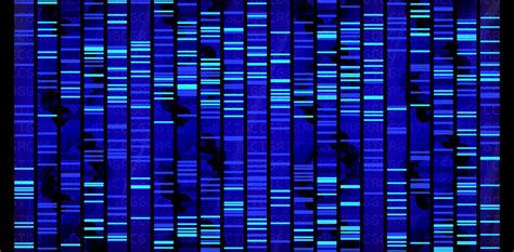 Its Time To Talk About Who Can Access Your Digital Genomic Data