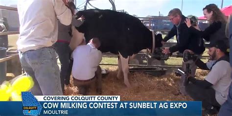 Cow Milking Contest Returns At Sunbelt Ag Expo