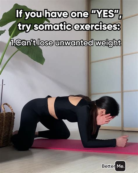 Try Our Transformative Somatic Exercise Plan Now For A Healthier Body