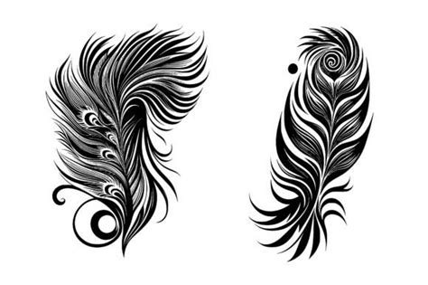 Peacock Feather Vector Silhouette Graphic By Creative Designs