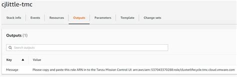 How To Deploy A Tkg Cluster On Aws Using Tanzu Mission Control Little Stuff