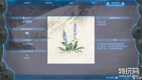 塞尔达传说王国之泪冰冷香草在哪里 特玩网