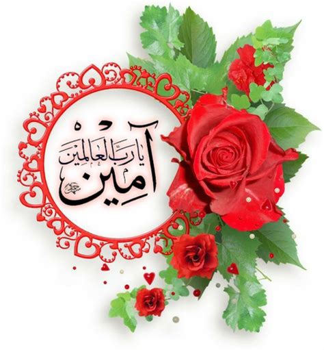 Pin by WAREE JITPAYAP on ดอา salam Good morning gift Flower phone