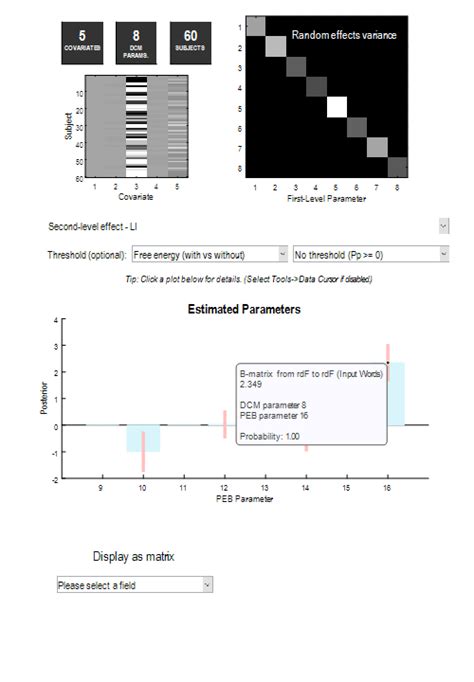 Dcm For Fmri 2nd Level Language Spm Documentation