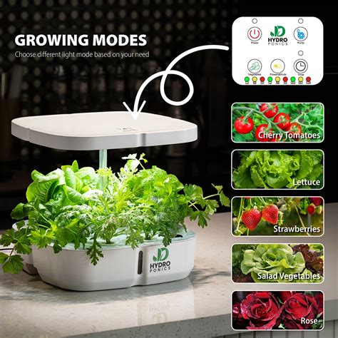 Smart Mini Equipment Indoor Hydroponic Kit For Growing