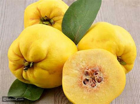 Babonej بابونج على Linkedin فوائد السفرجل للرجيم منخفض السعرات الحرارية