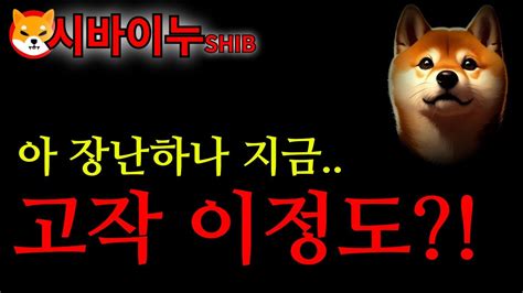 시바이누 충격 아니 진짜 장난하나 Youtube