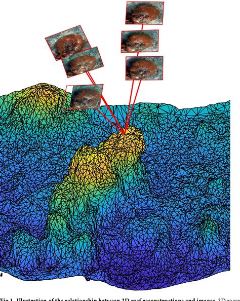 Figure 1 From Automated Classification Of Three Dimensional Reconstructions Of Coral Reefs Using