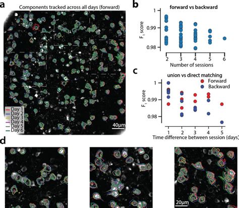 Figures And Data In Caiman An Open Source Tool For Scalable Calcium