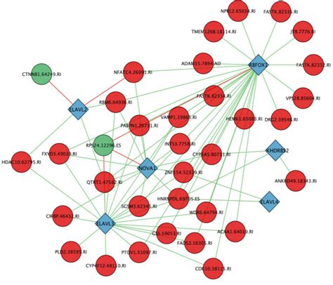 Comprehensive Analysis Of Alternative Splicing Across Multiple Transcriptomic Cohorts Reveals