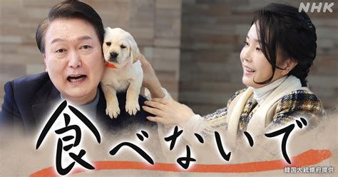 韓国“犬食”禁止へ 伝統の食文化か動物虐待か ユン・ソンニョル大統領夫人で愛犬家のキム・ゴニ氏も反対 波紋広がる Nhk