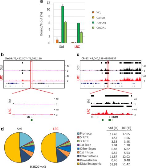 Genome Wide Distribution Of H3k27me3 By Epat Chip Genome Wide Analysis