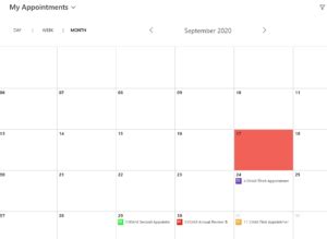 Add Color On Option Set In Dynamics 365