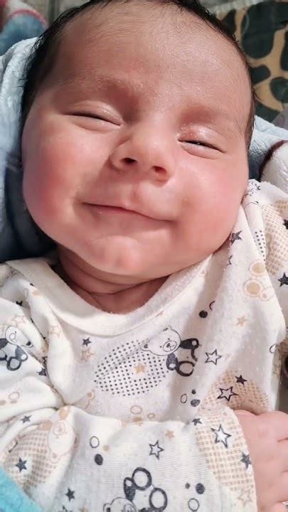 عشق زندگی تیام لر لک کرد لرستان نینی Youtube