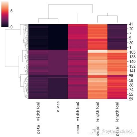Python可视化matplotlibandseborn15 聚类热图clustermap（建议收藏） 知乎